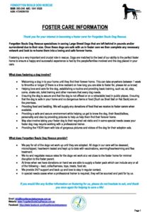 foster application 2018 - Forgotten Souls Dog Rescue